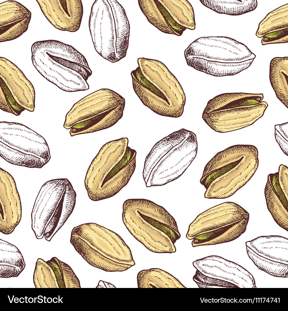 Hand drawn seamless pistachios pattern Royalty Free Vector