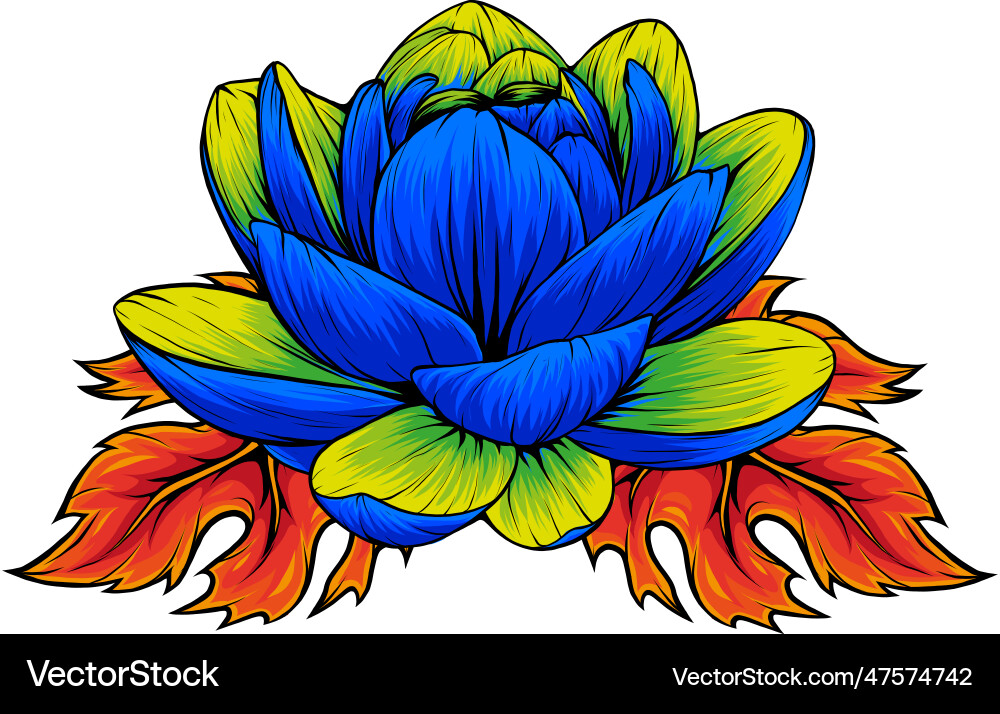 Beautiful flower lily lotus Royalty Free Vector Image