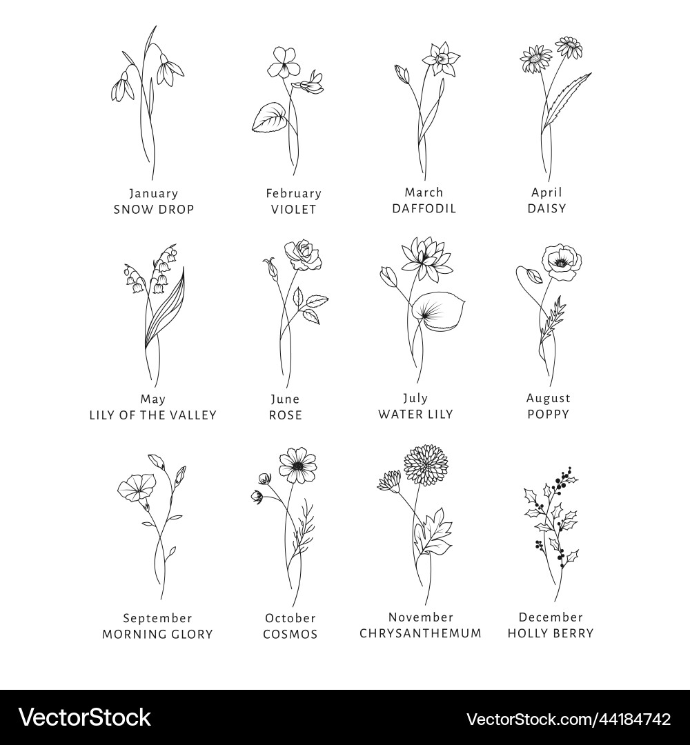 Birth month flowers bundle Royalty Free Vector Image