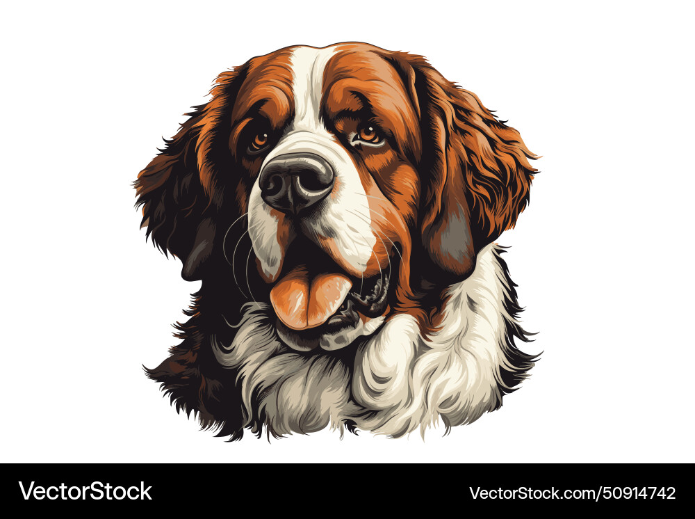 St bernard dog flat isolated on white background Vector Image