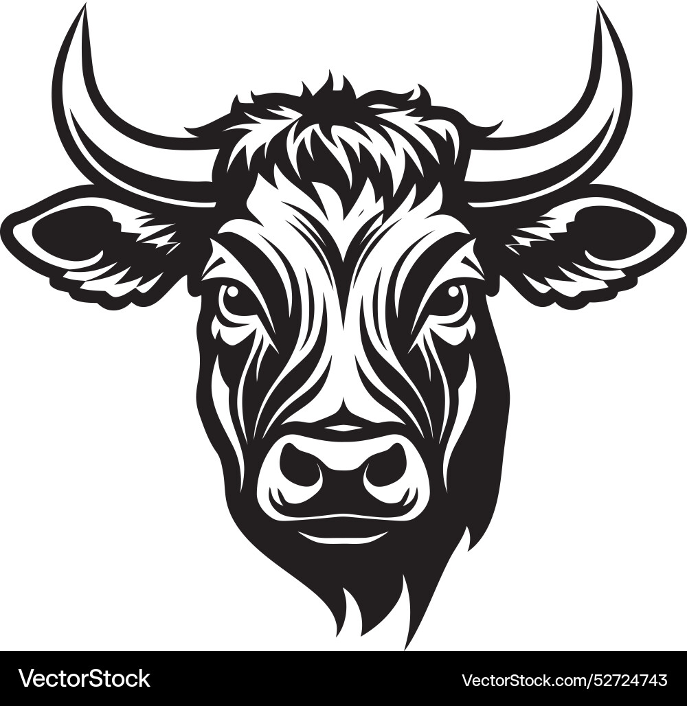 Beef and beyond exploring alternative cuts Vector Image