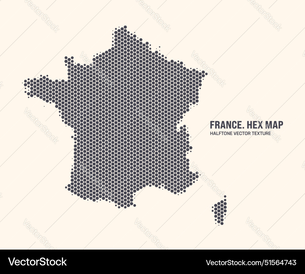 France map hexagonal half tone pattern isolated Vector Image