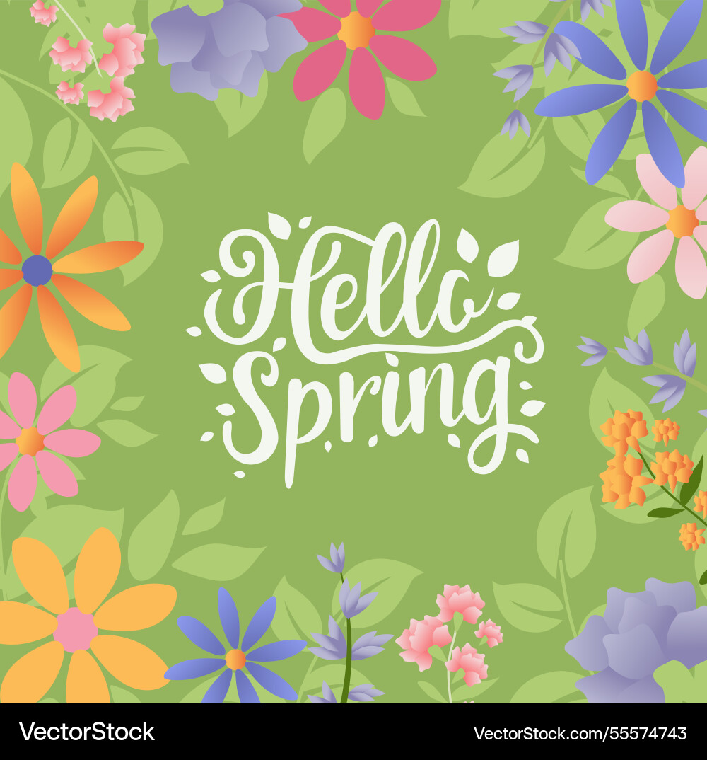 Hello spring text flowers background Royalty Free Vector