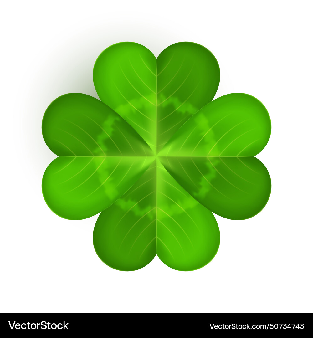Realistic shamrock icon clover four leaves logo Vector Image