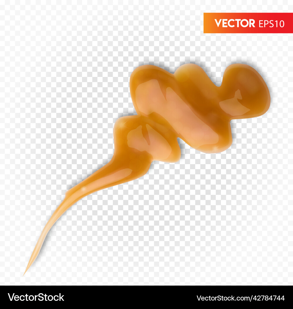 Sauce culinary spice on a tr Royalty Free Vector Image