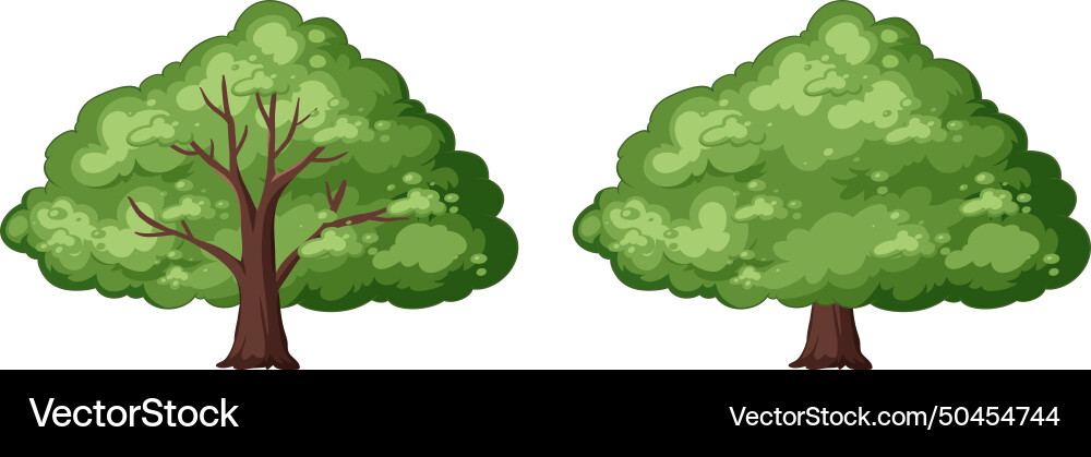 Two vibrant green trees with detailed leaves Vector Image