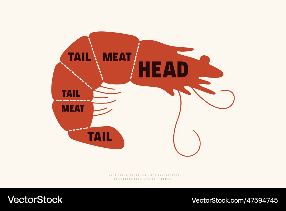 Shrimp Schnittdiagramm im Silhouette-Stil Vektorbild