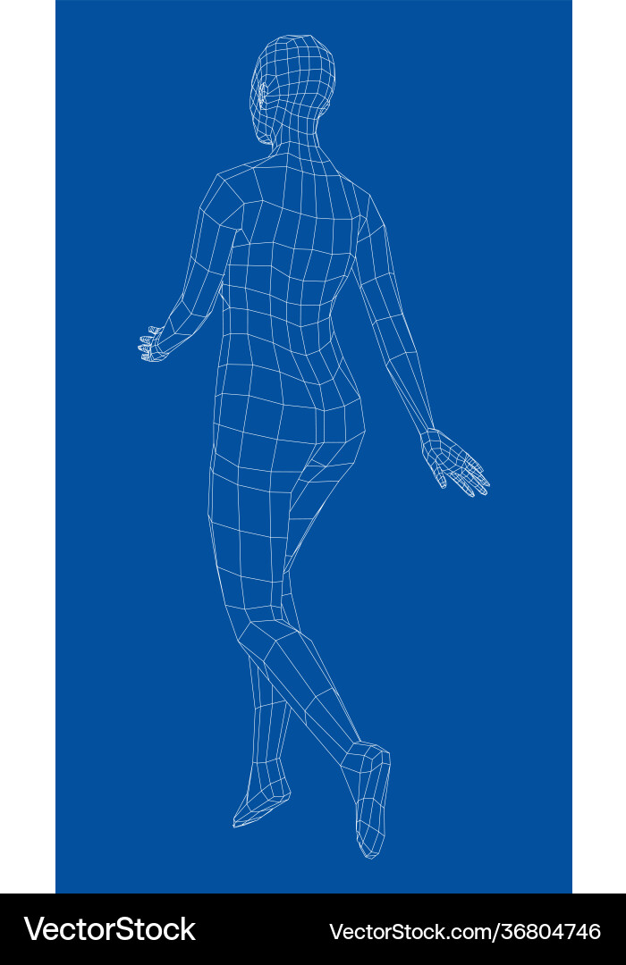 Wireframe walking woman Royalty Free Vector Image