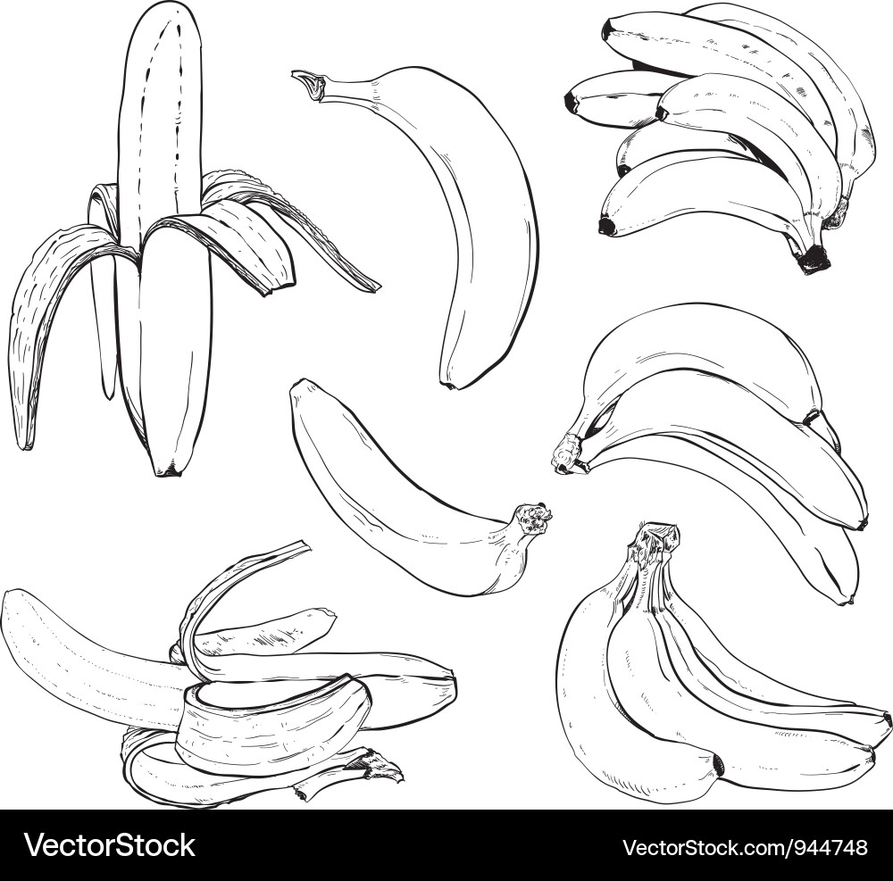 Banana set Royalty Free Vector Image - VectorStock