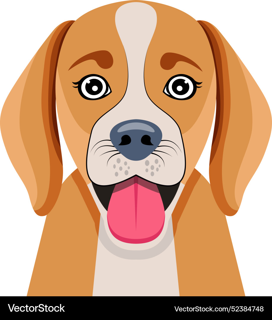Basic rgbbasque beagle icon in flat style Vector Image