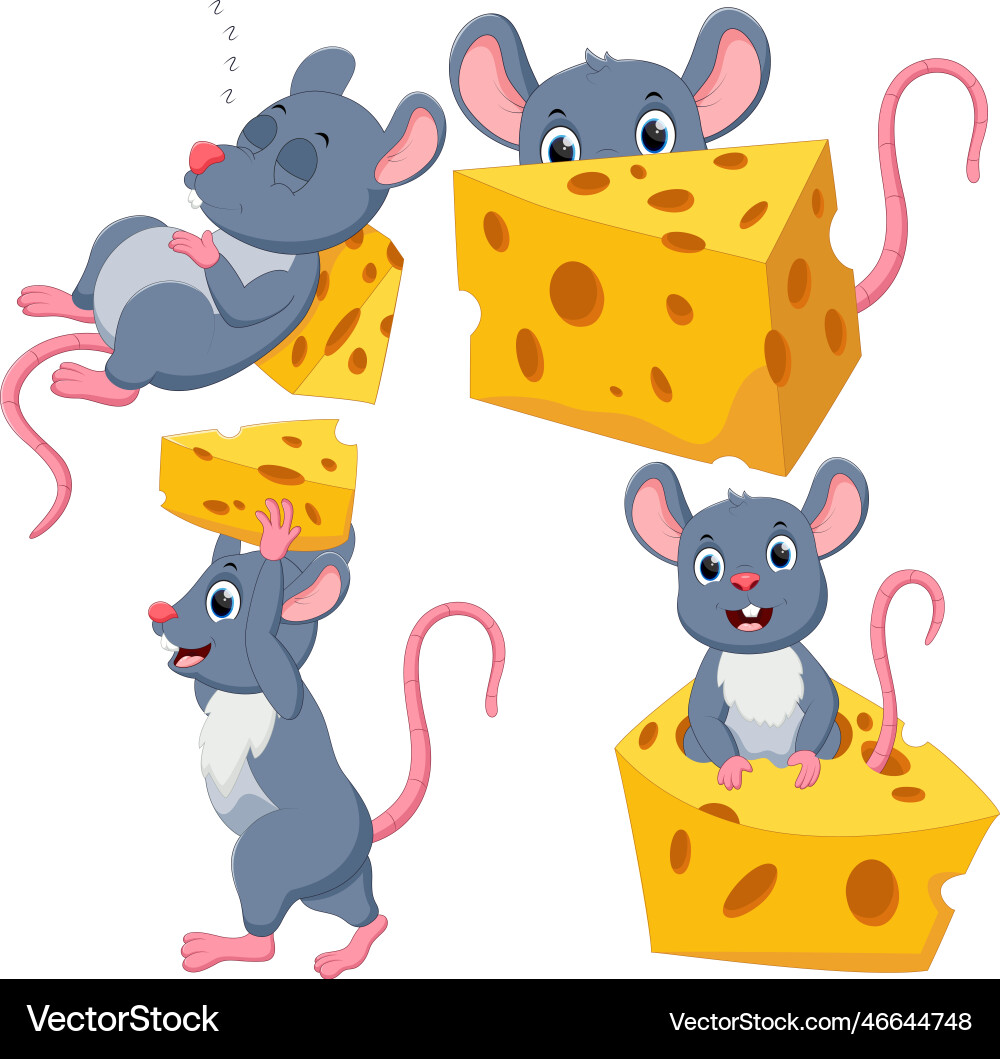 Cartoon funny mouse and cheese collection set Vector Image