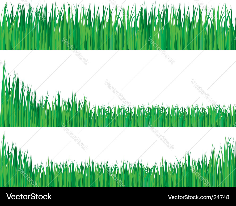 Grass Royalty Free Vector Image - VectorStock