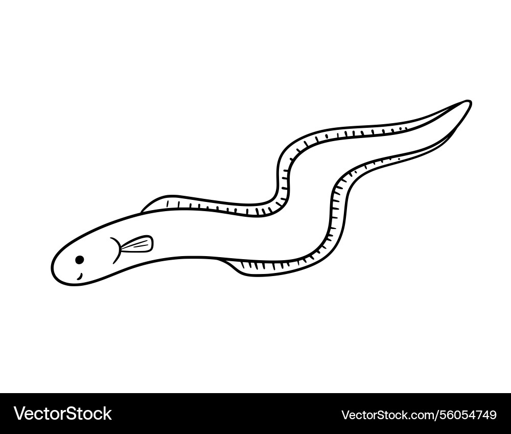 Cute sea eel drawing doodle outline simple Vector Image