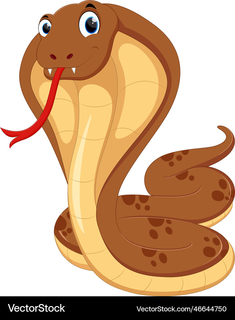 Free Cobra Tail Vector Images (33)