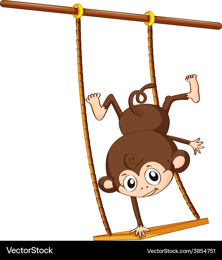 Monkey and swing Royalty Free Vector Image - VectorStock