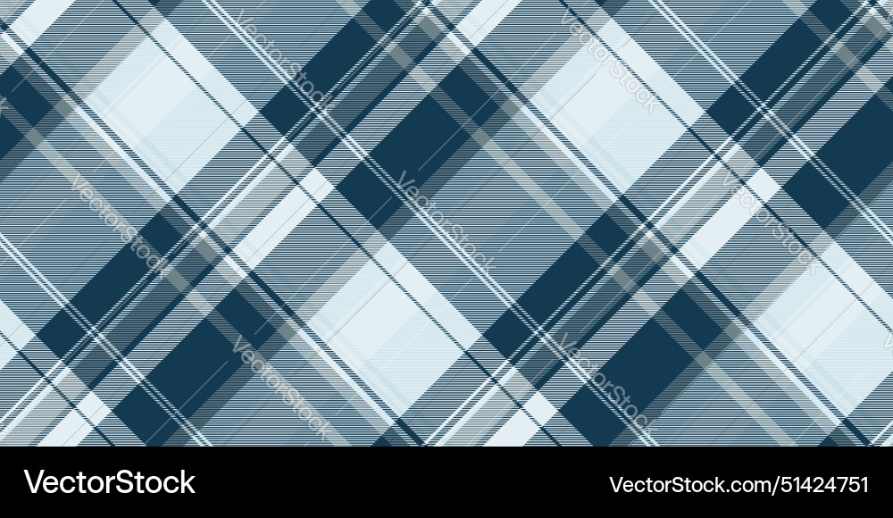 Path pattern texture check trade tartan textile Vector Image