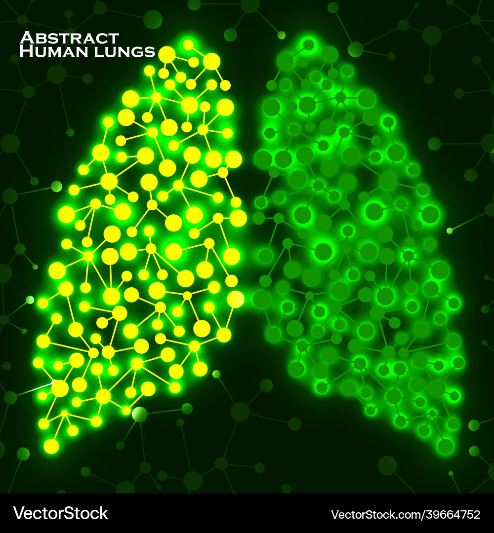Abstract human lungs molecule structure Royalty Free Vector