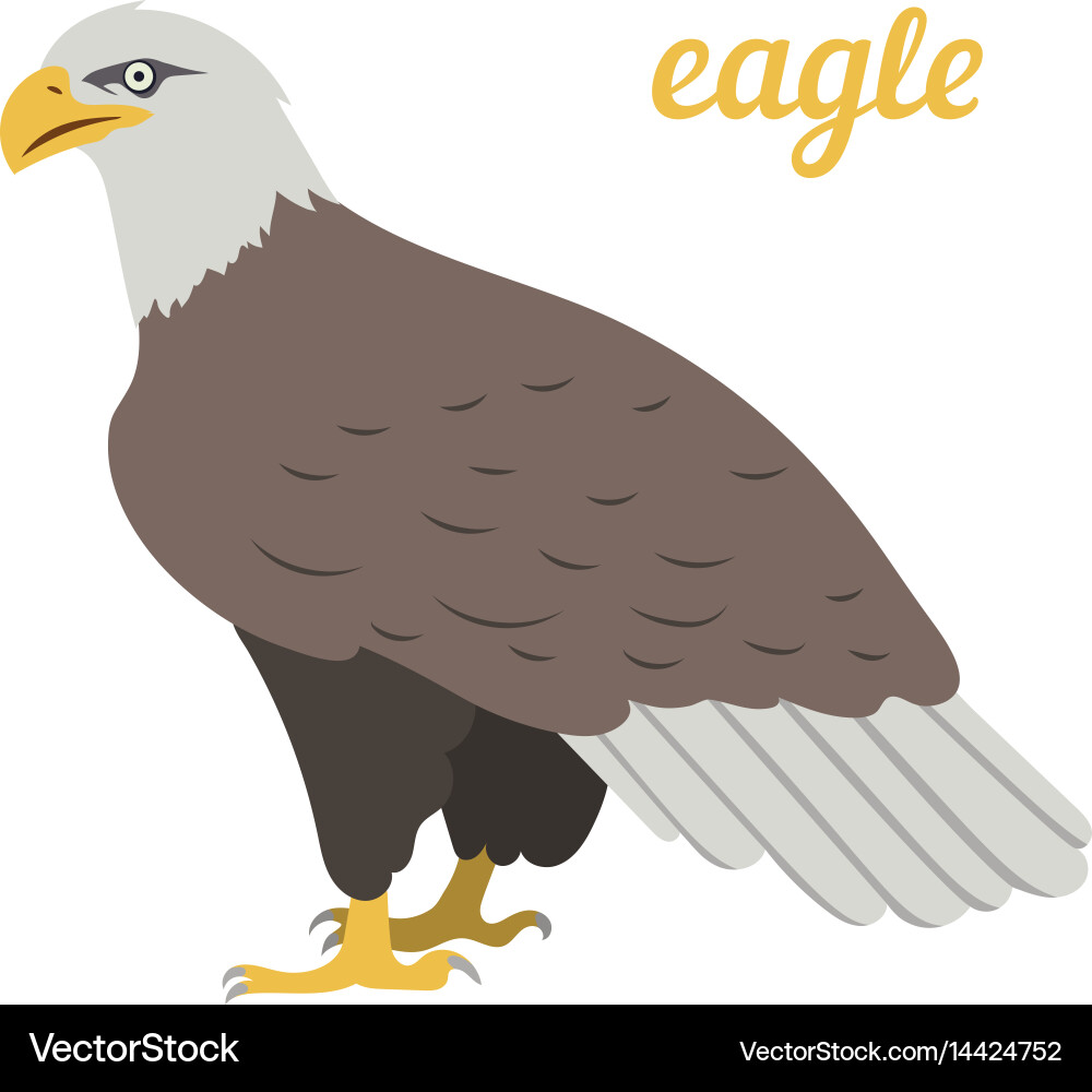 American eagle Royalty Free Vector Image - VectorStock