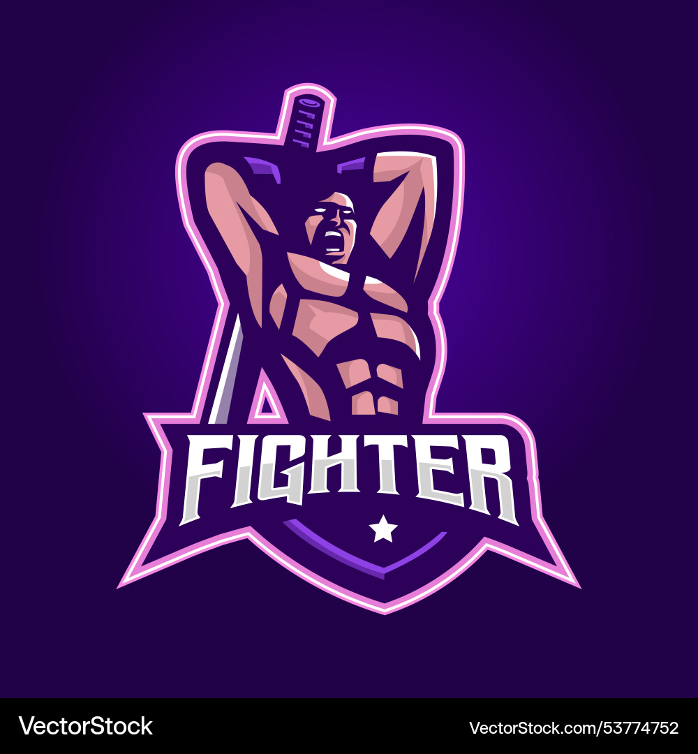 Fighter Royalty Free Vector Image - VectorStock