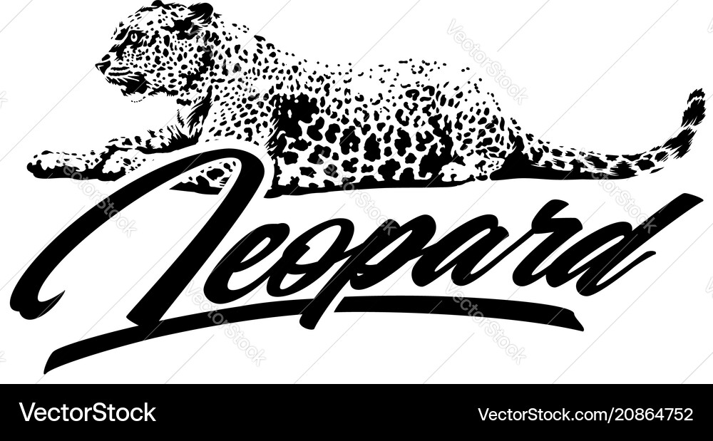 Leopard design Royalty Free Vector Image - VectorStock