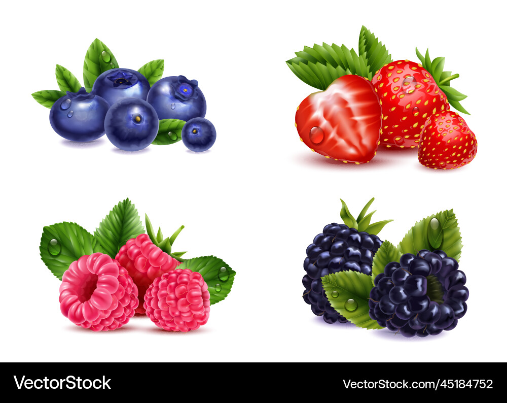 Natural berries realistic set Royalty Free Vector Image