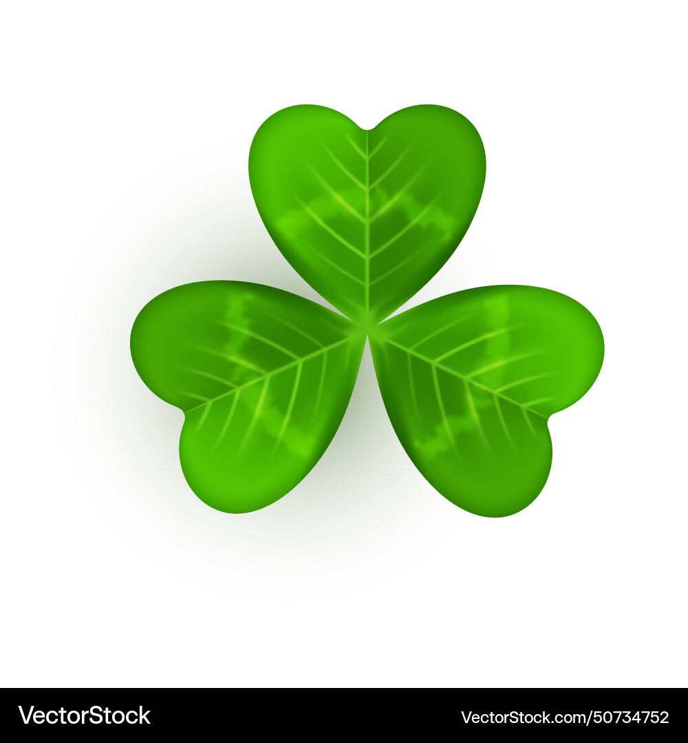 Realistic shamrock icon clover three leaves logo Vector Image