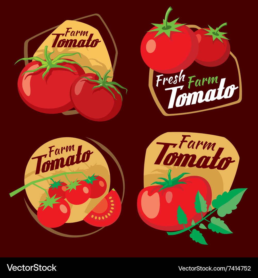 Vintage tomato labels emblems and badges Vector Image