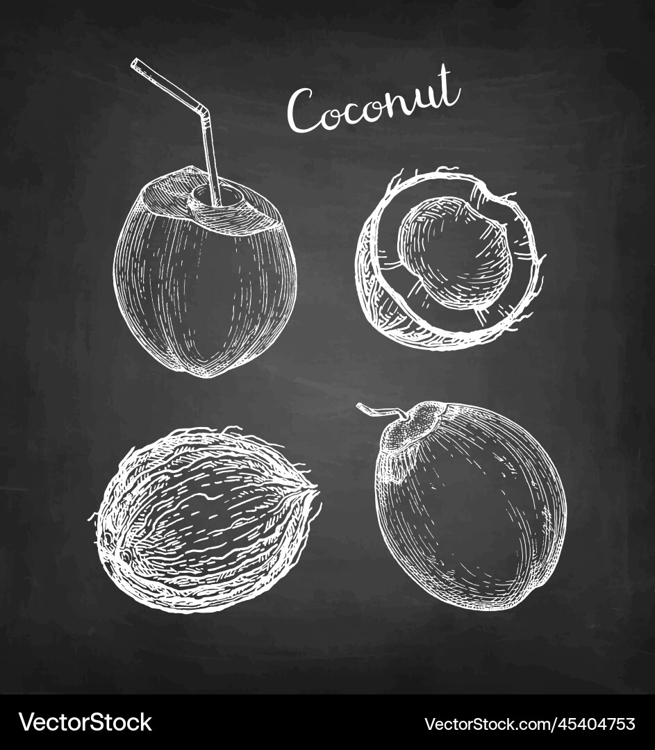Chalk sketch of coconuts Royalty Free Vector Image