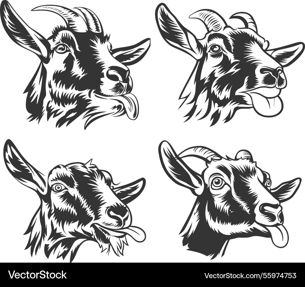 Goat head farm animal goat Royalty Free Vector Image