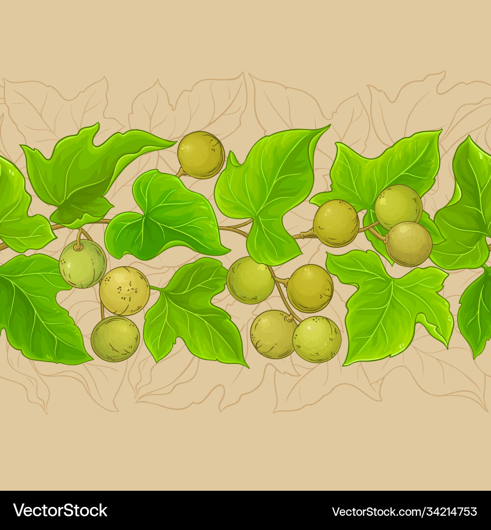 Kukui branches pattern on color background Vector Image