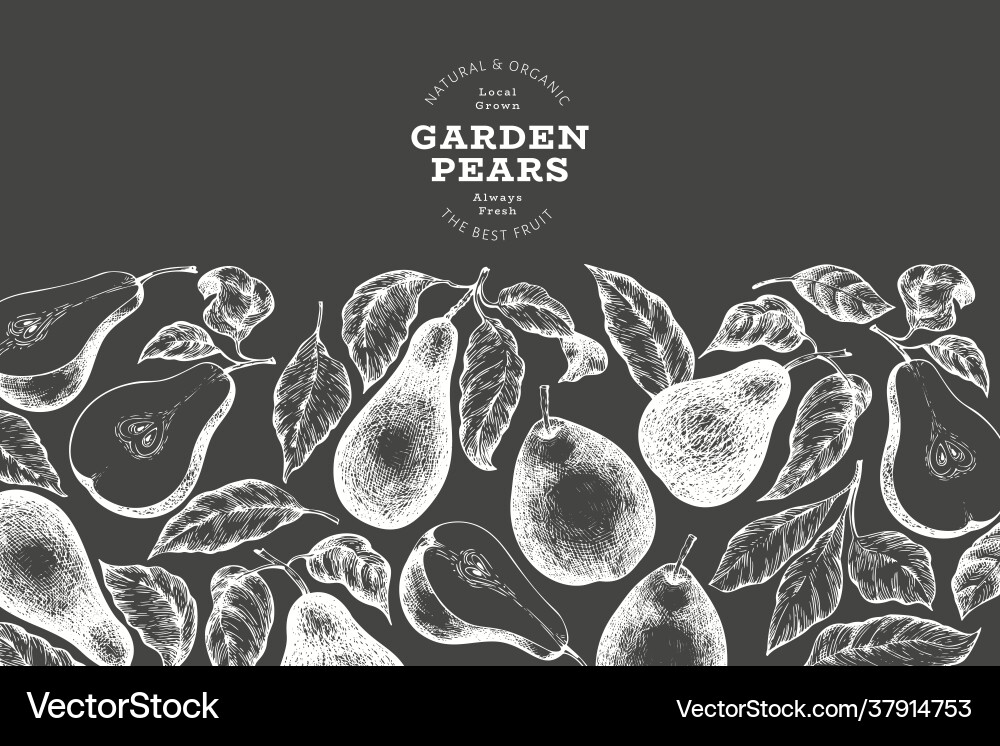 Pear design template hand drawn garden fruit Vector Image