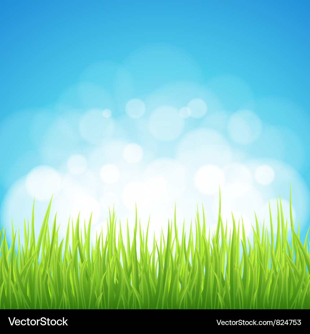 Vibrant Spring Meadow Royalty Free Vector Image