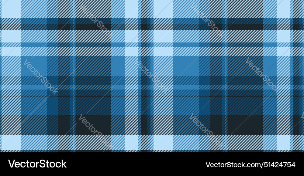 Cozy check texture textile curve plaid pattern Vector Image