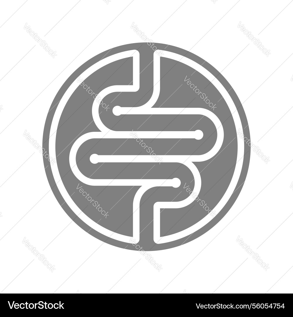 Intestinal tract icon Royalty Free Vector Image