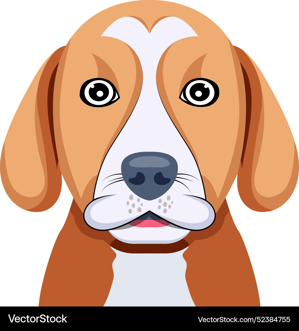 Basic rgbbasque beagle icon in flat style Vector Image