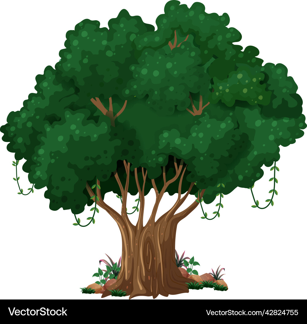 Big tree isolated cartoon Royalty Free Vector Image
