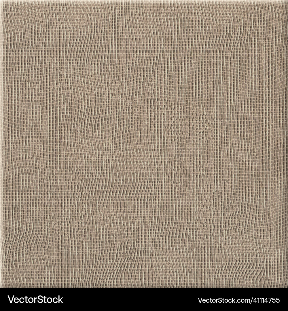 Canvas with realistic grid fabric texture Vector Image