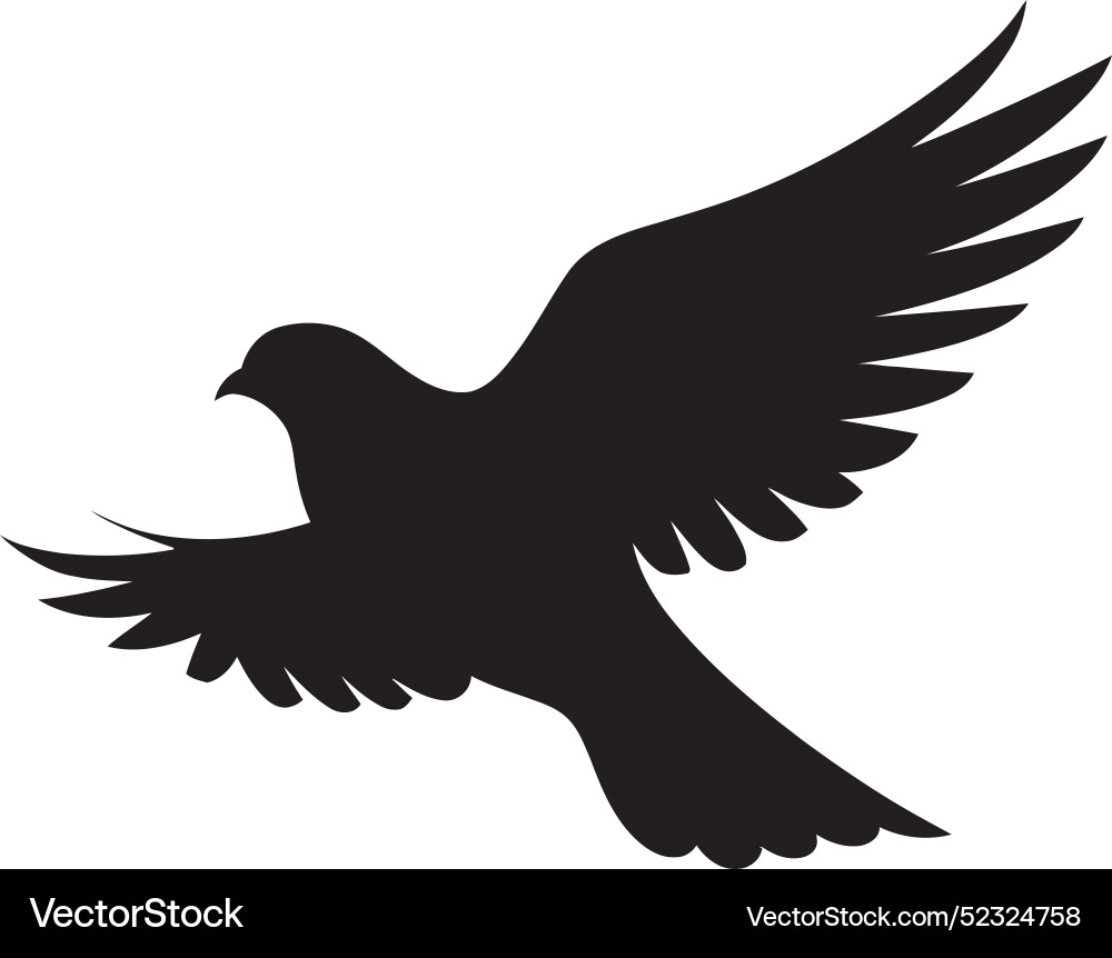 Dynamic monochrome pigeon impressionsartistic Vector Image
