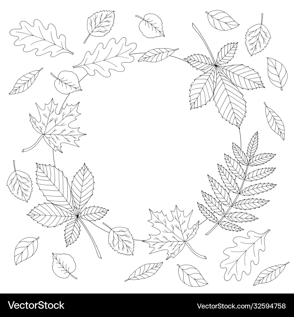 Frame autumn leaves coloring page Royalty Free Vector Image