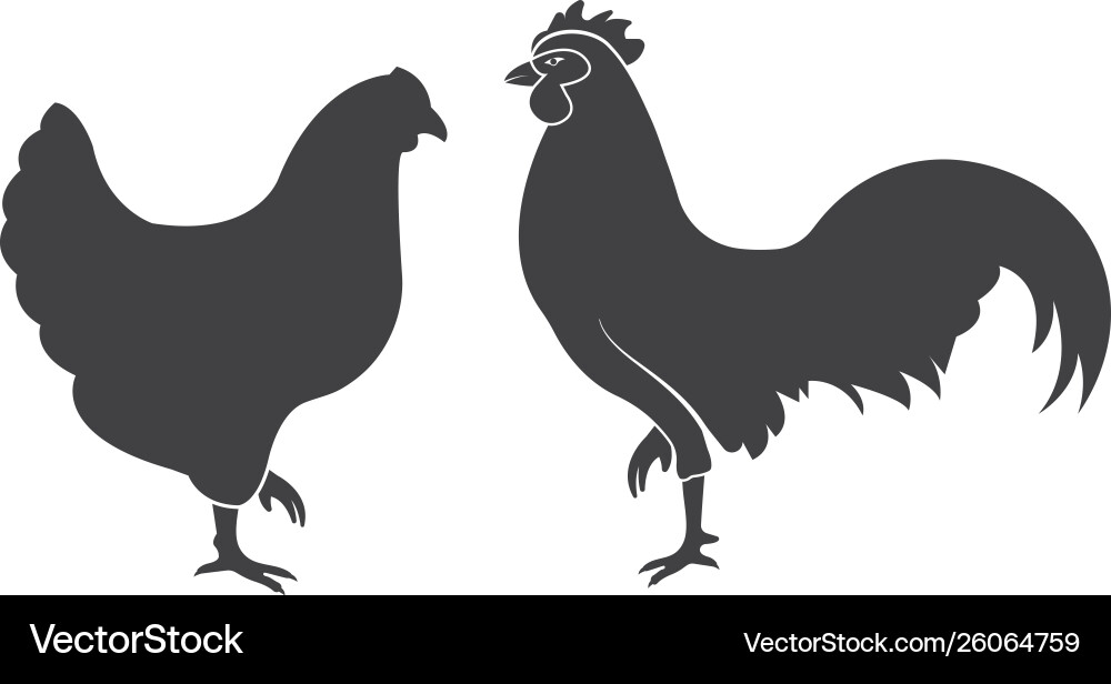 Chicken Royalty Free Vector Image - VectorStock