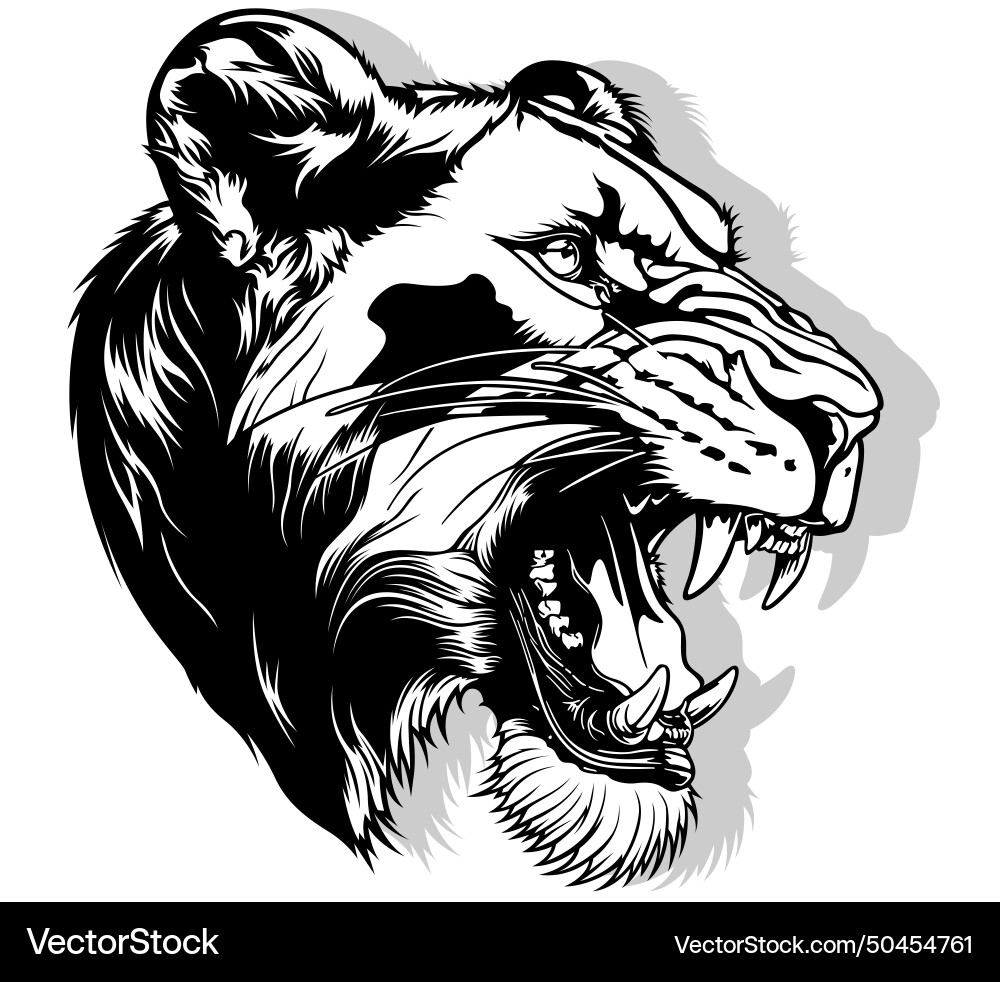 Lioness Portrait - Fierce Predator Royalty Free Vector Image