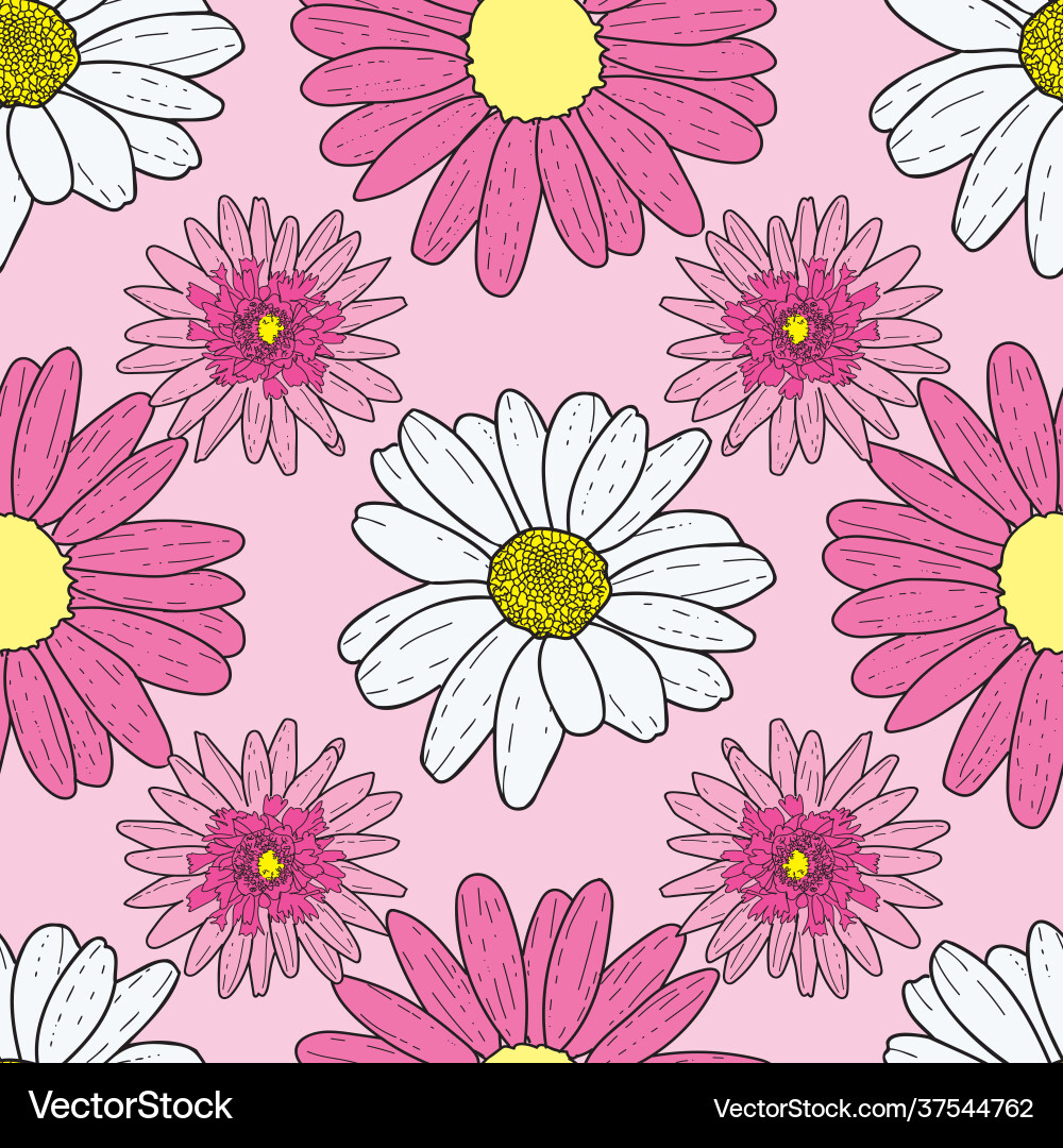 Hot Pink Daisy Floral Background Royalty Free Vector Image