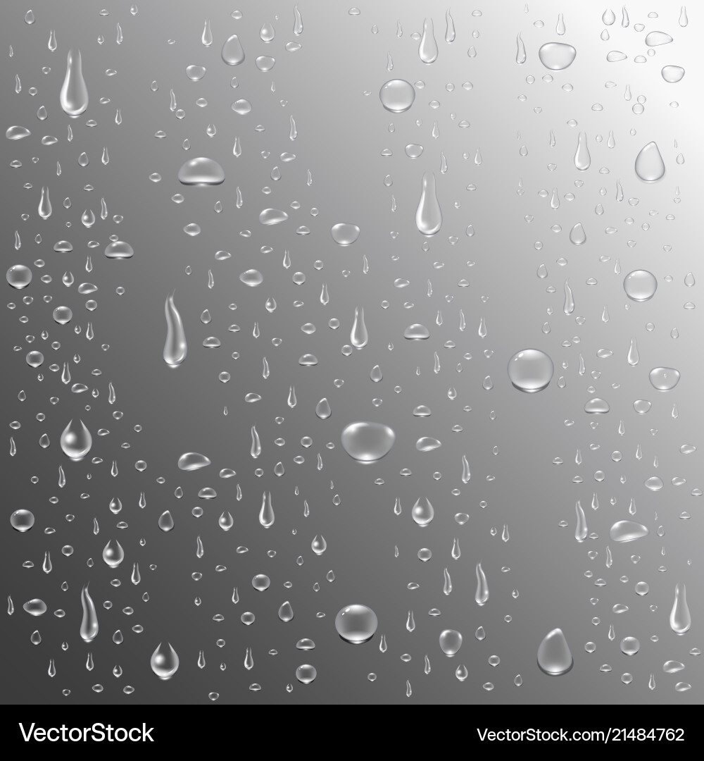 Raindrops on Glass - Realistic Water Drops Vector Image