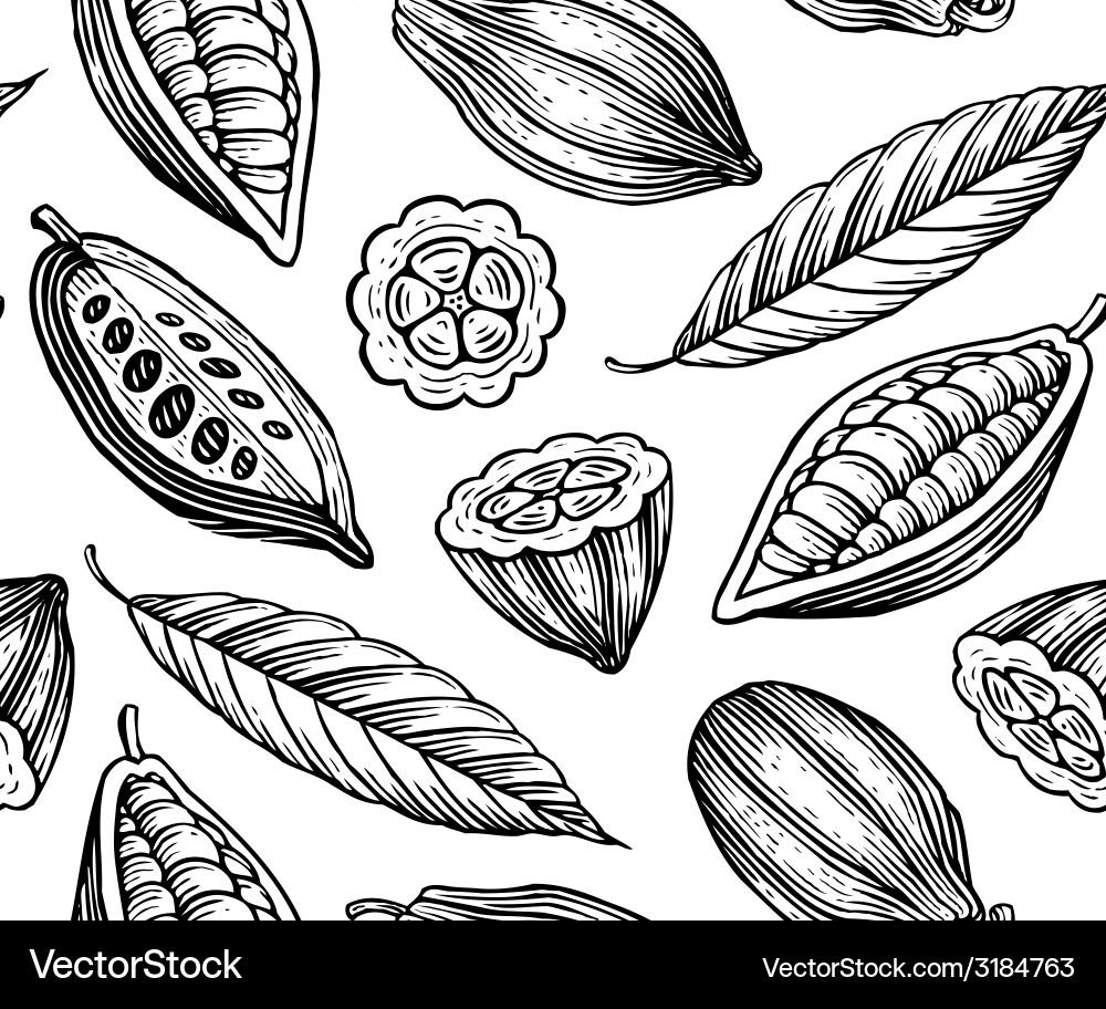 Cocoa pattern Royalty Free Vector Image - VectorStock