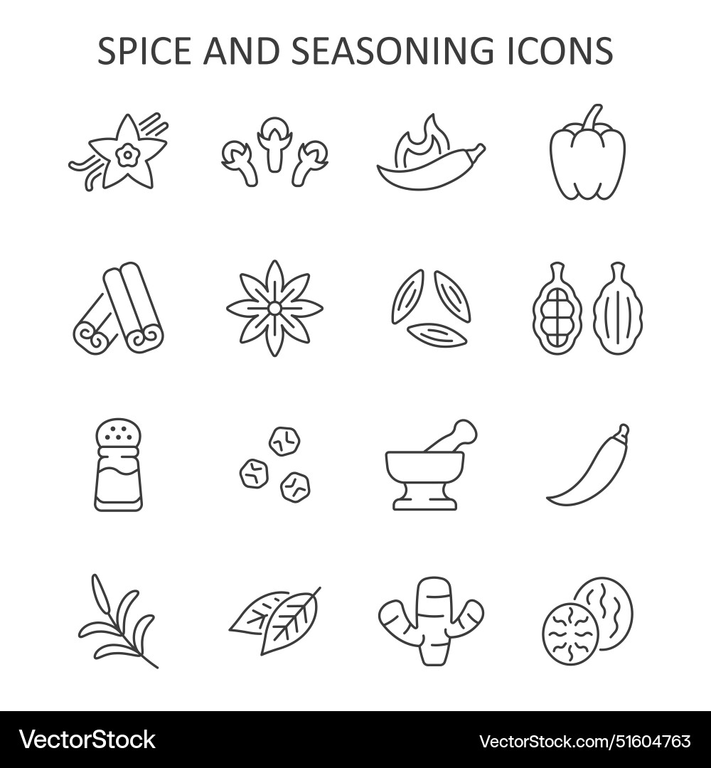 Spice and seasoning line icon set collection Vector Image