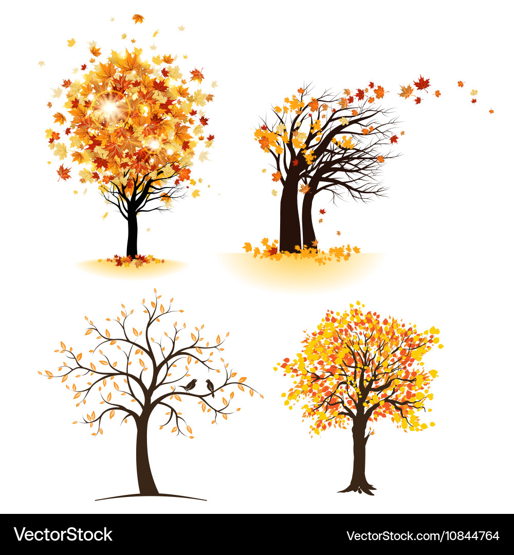 Autumn tree set Royalty Free Vector Image - VectorStock