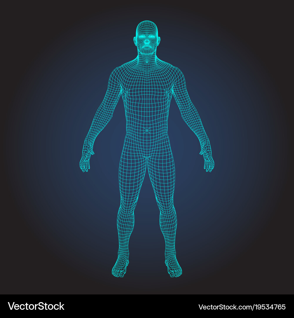 3d wireframe human body Royalty Free Vector Image