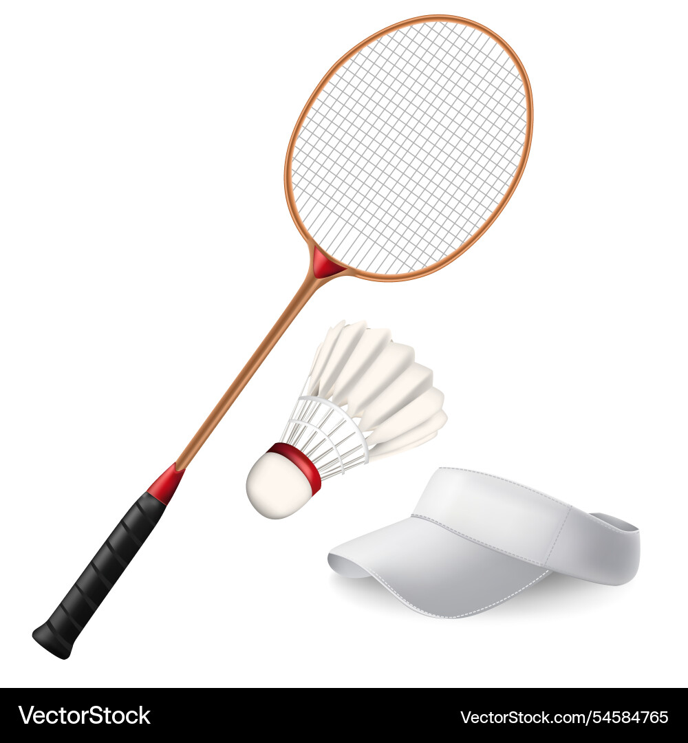 Realistic detailed 3d different badminton Vector Image