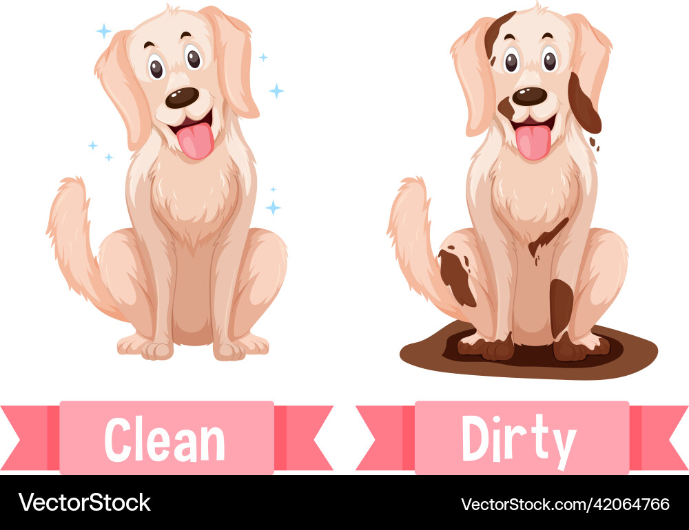 Clean vs. Dirty: Opposites Royalty Free Vector Image
