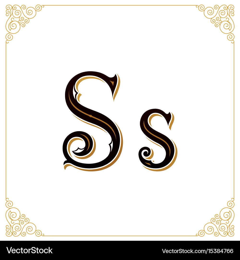 Vintage font letter and monogram Royalty Free Vector Image